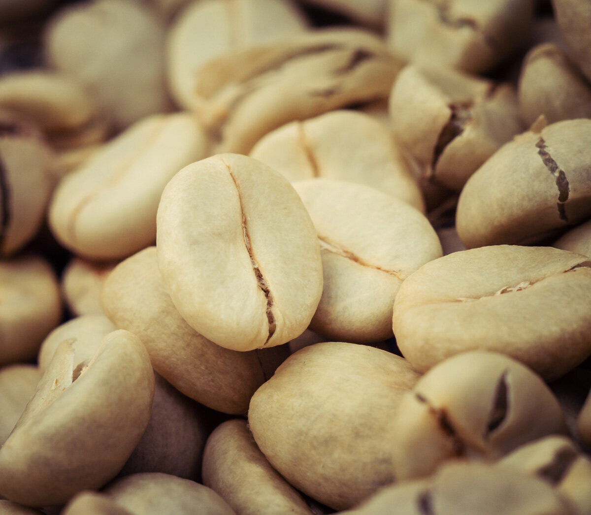 The 'Frutos Rojos' Process - Barista Hustle