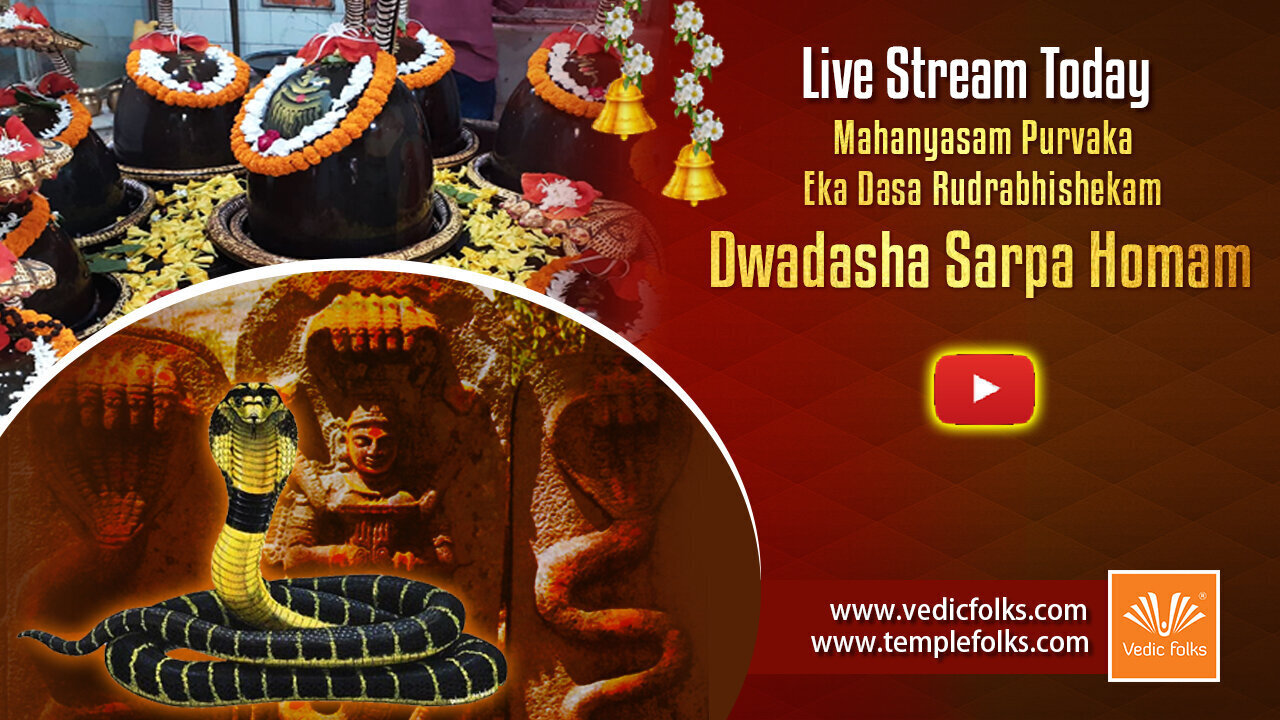 Vedic Astrology | Indian Astrology | Homam and Remedies Center