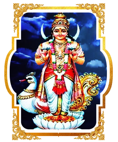 Chandra Graha and Rahu Graha Shanti Homam-Navagraha Puja|Vedicfolks