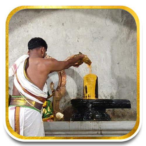 Grand Maha Shivratri Special, 12 hours Non-stop Rituals - Vedicfolks