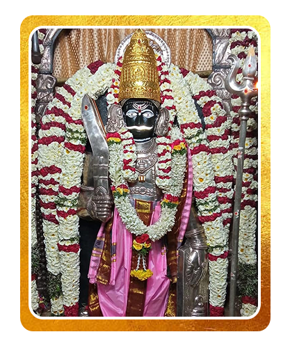 Powerful Lord Veerabhadra Swamy Samedha Badrakali Homam for Protection ...