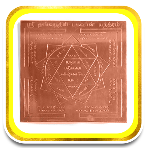 Divine Healing Energies: Dhanvantari Homam on Aja Ekadashi Special