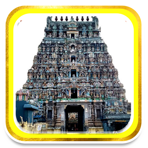 Divine Healing Energies: Dhanvantari Homam on Aja Ekadashi Special