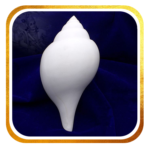Grand Ritual of 2024: Maha Shivaratri | Honor Lord Shiva | Vedicfolks
