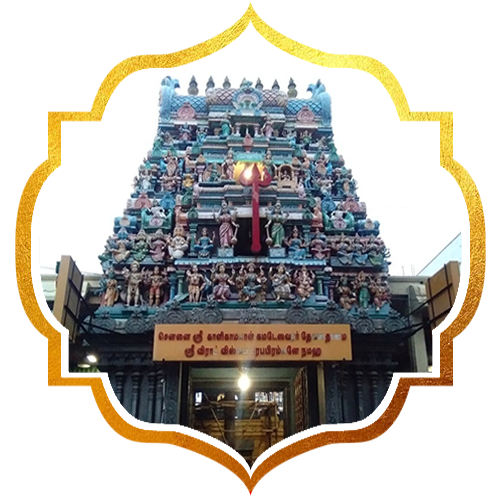 Unleash Your Inner Power: Chatuhsasthi Kali Yogini Homam for Spiritual ...