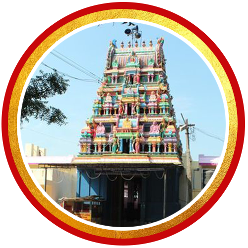 Experience Divine Blessings with Grand Nava Chanda Homams Rituals